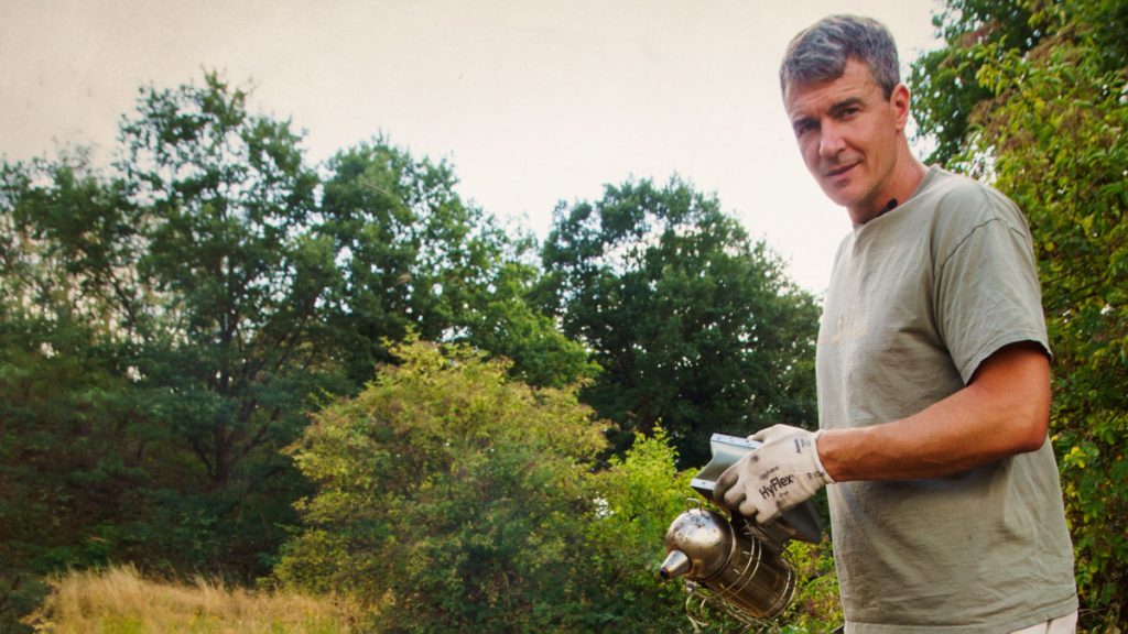 Rico Heinzig: Wie Bienen zu Markenbotschaftern werden